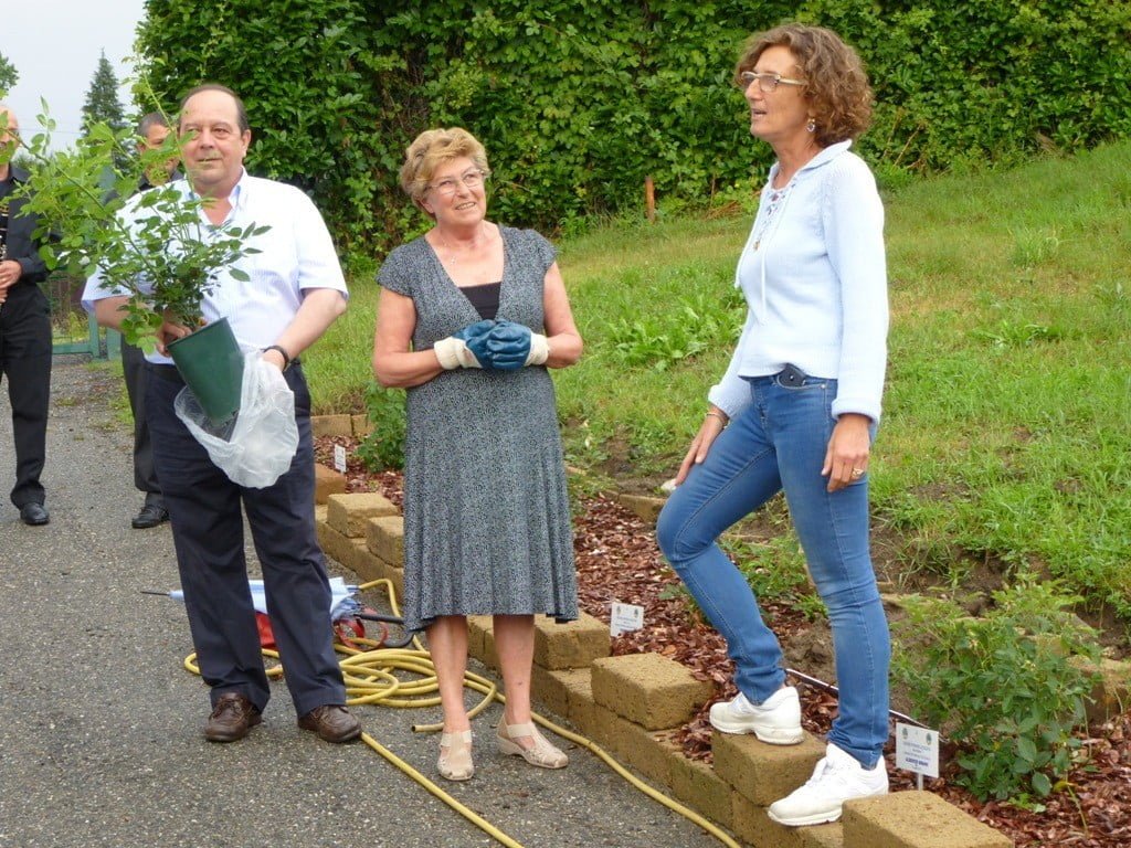 A rose for Adele • ACAO - Aero Club Adele Orsi